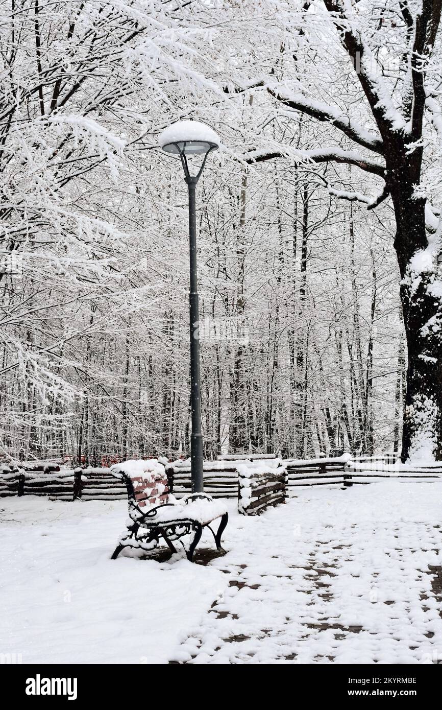 Snow-covered trees and benches in the city park. Bucha City Park ...