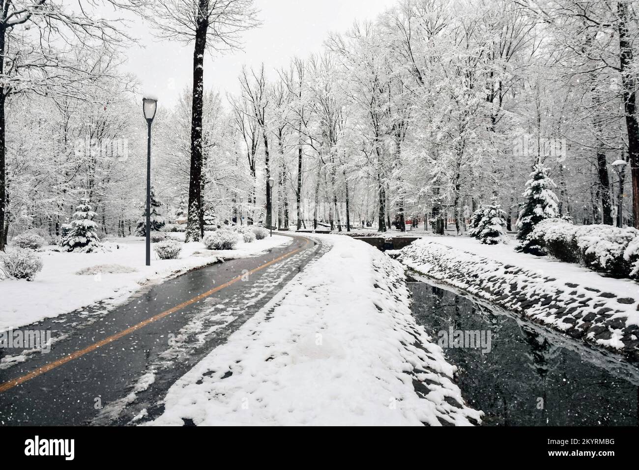 Snow-covered trees and benches in the city park. Bucha City Park ...