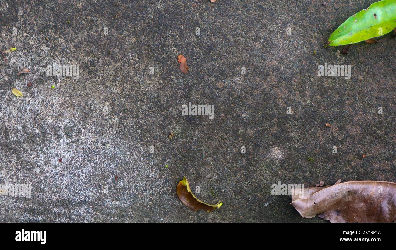 concrete road texture with fallen leaves Stock Photo - Alamy