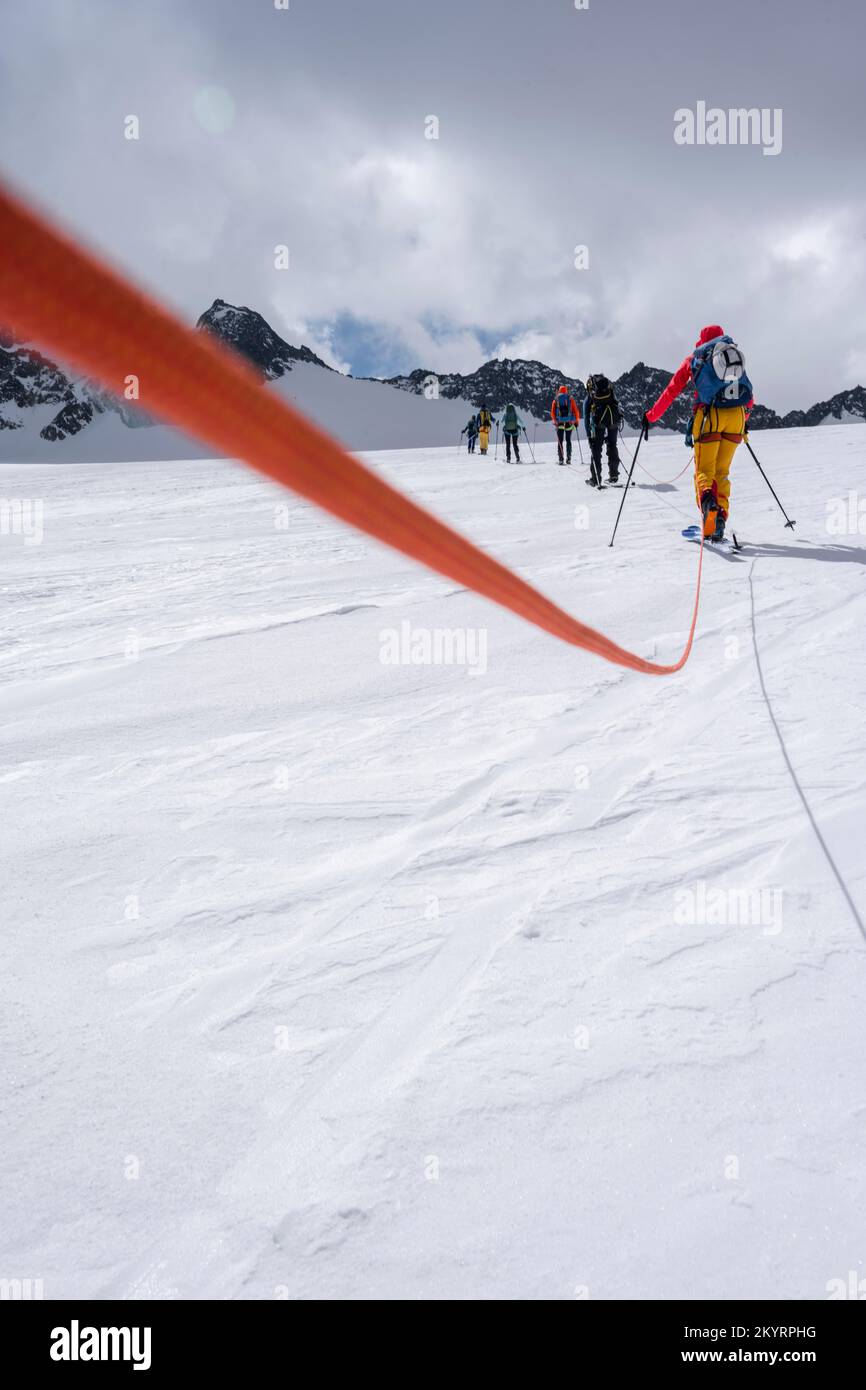 High altitude tour, ski tourers walking on a rope over Alpeiner Ferner ...