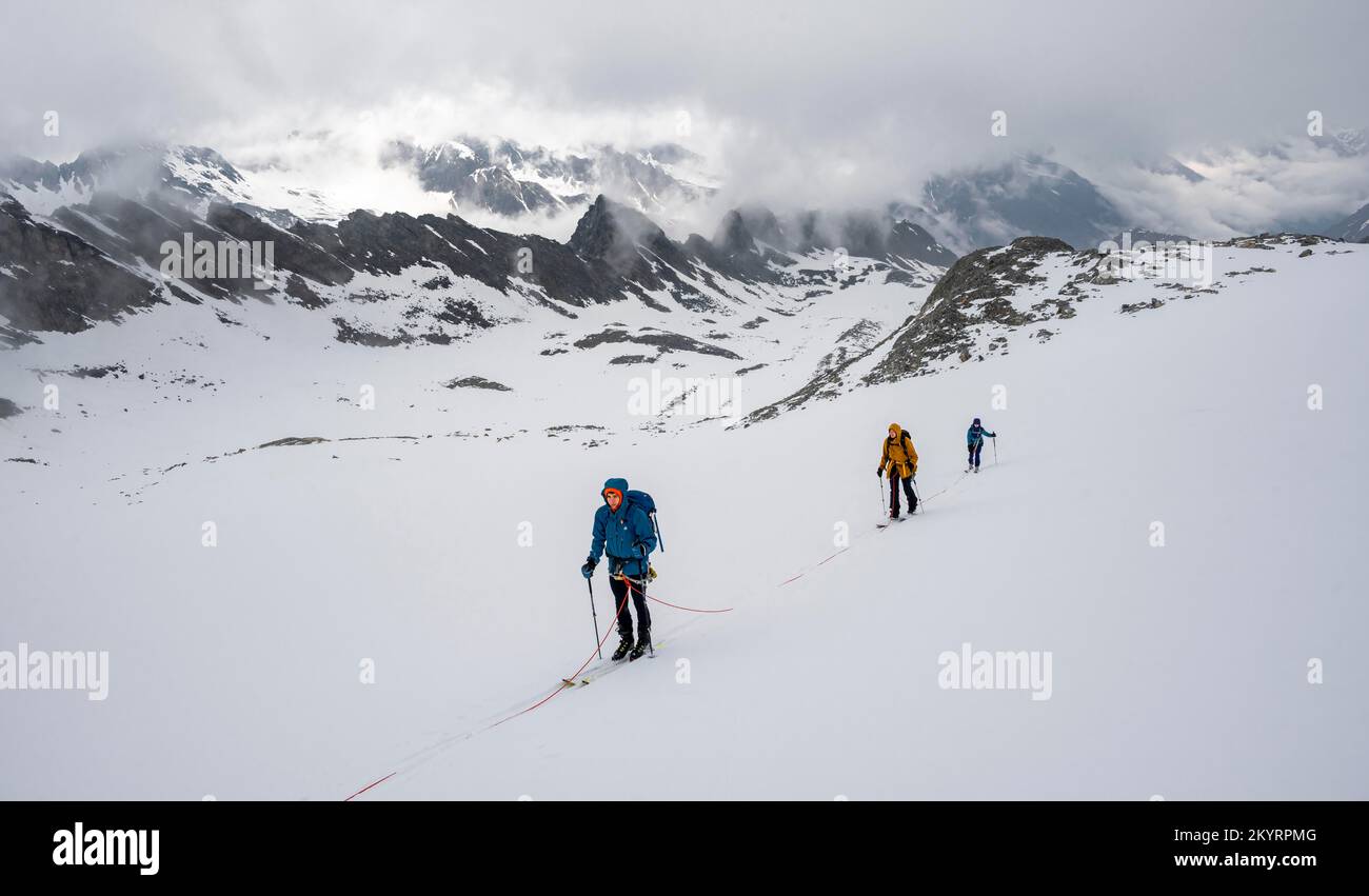 Ski tourers walking on the rope on the glacier in winter in the ...