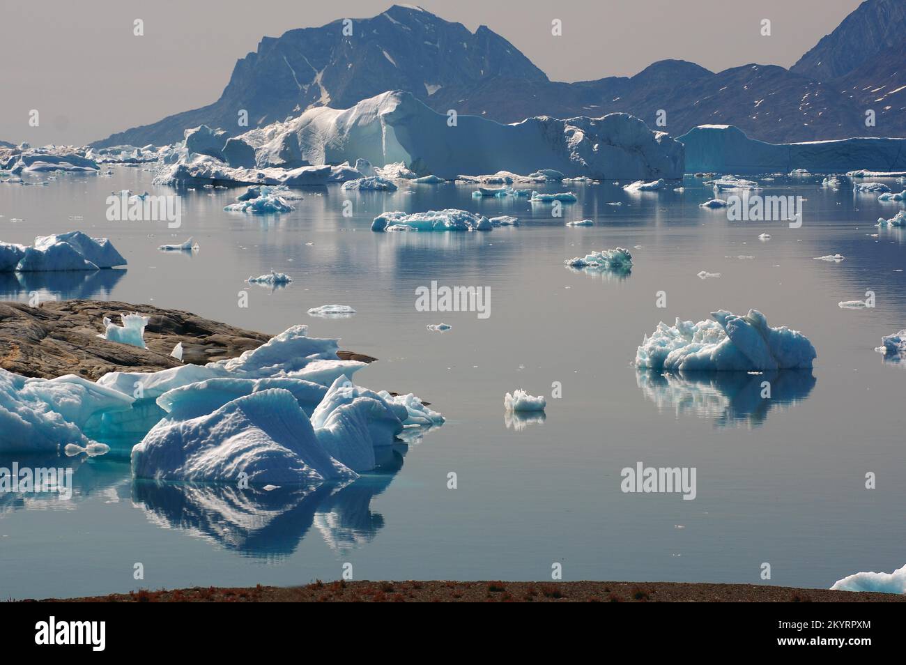 Icebergs reflected in a fjord, silence, stillness, barren landscape ...
