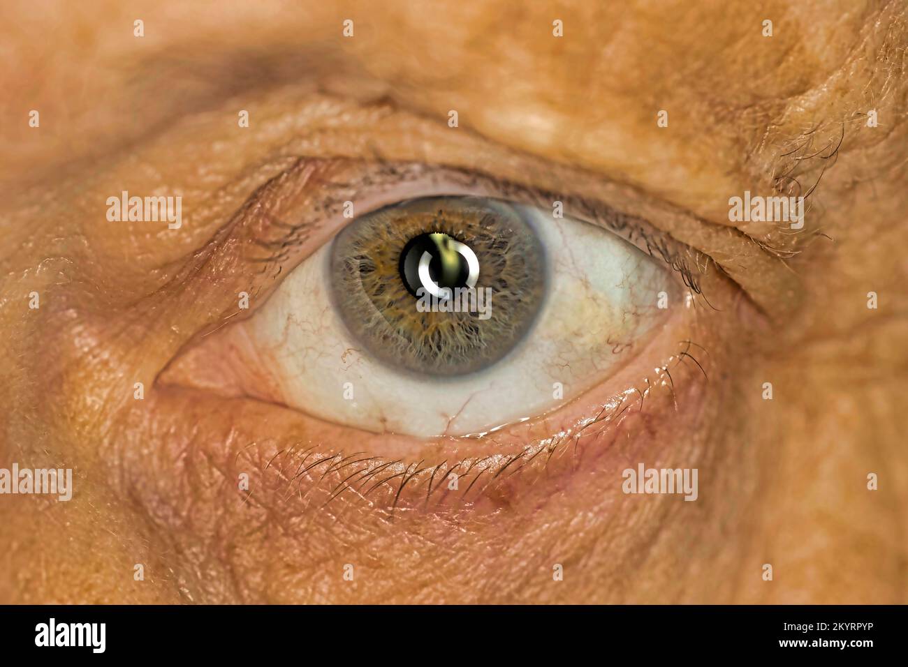 Male eye hi-res stock photography and images - Alamy