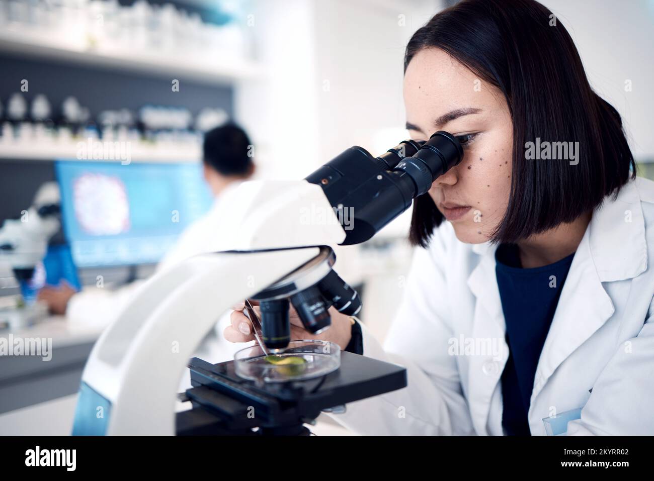 Laboratory, microscope and medical science analysis, research ...