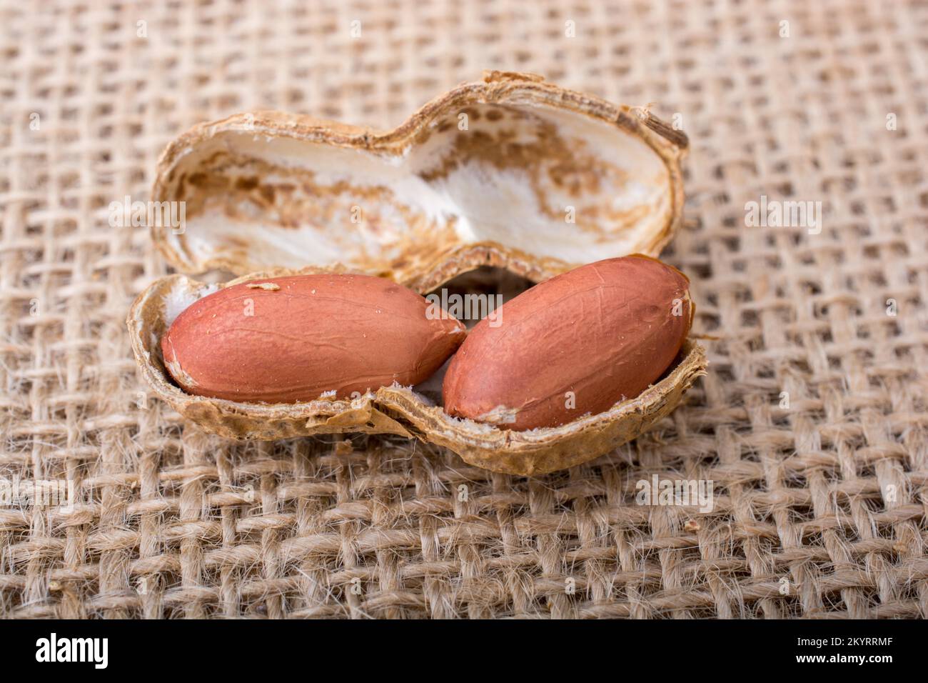 Cracked open peanut with shell on a linen canvas background Stock Photo ...