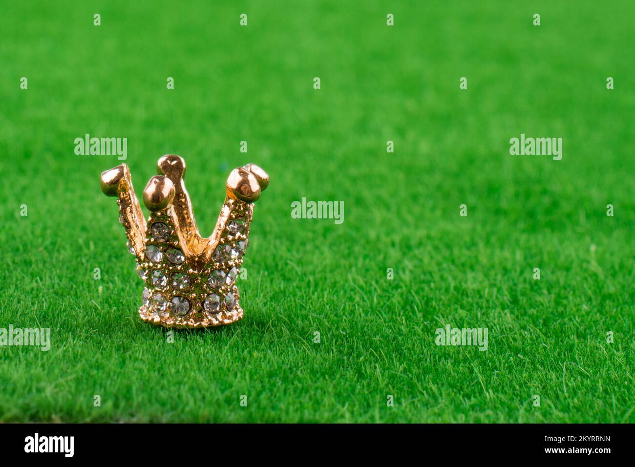 Little golden color model crown in grren grass Stock Photo - Alamy