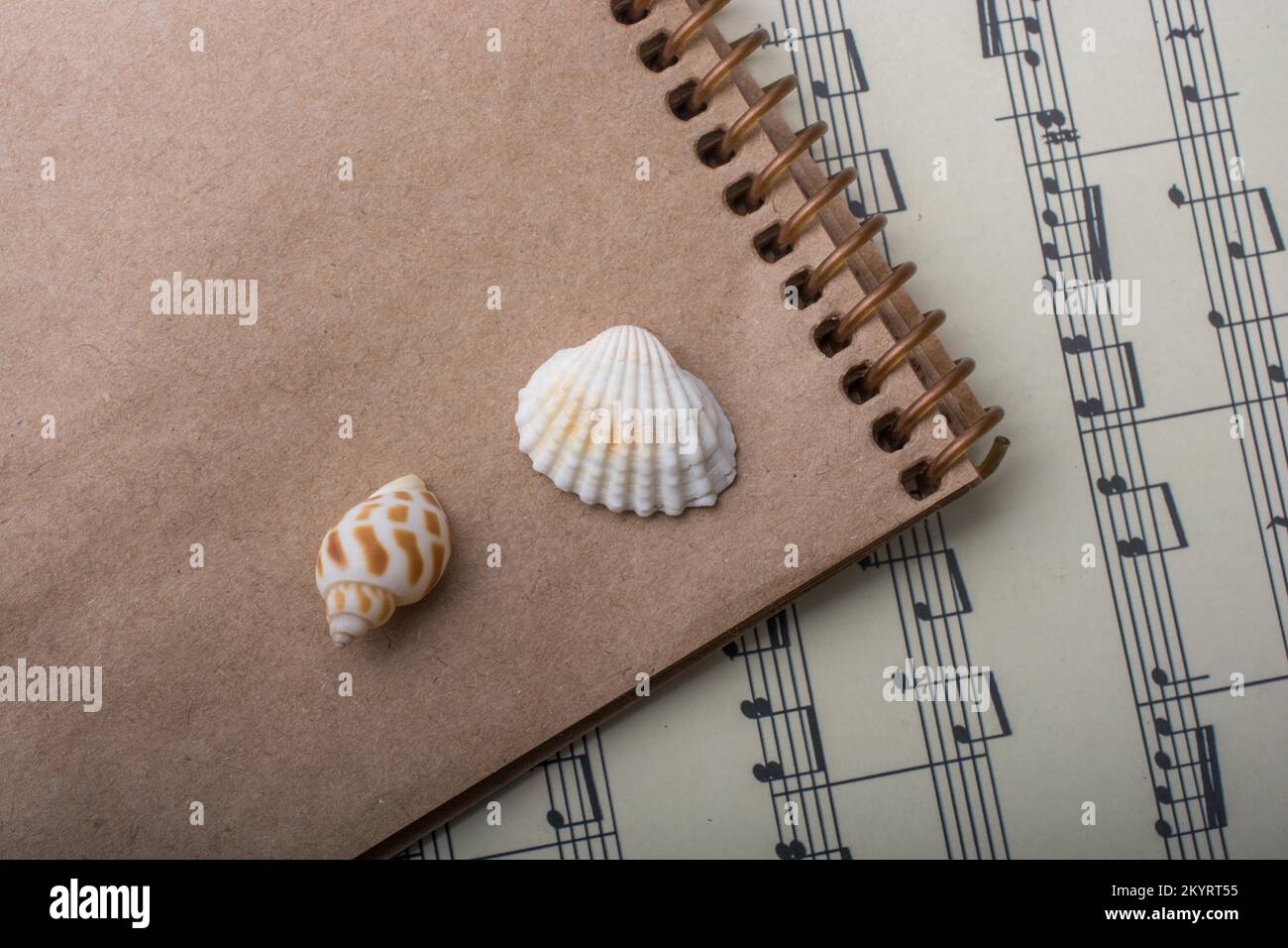 Notebook is on a paper with musical notes Stock Photo - Alamy