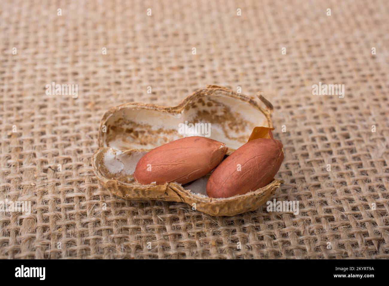 Cracked open peanut with shell on a linen canvas background Stock Photo ...