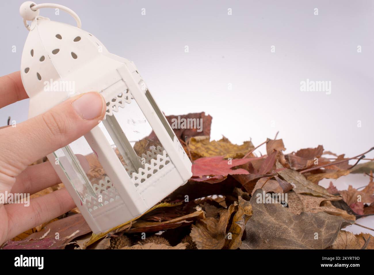 Little bird house made of metal on Autumn leaves Stock Photo - Alamy
