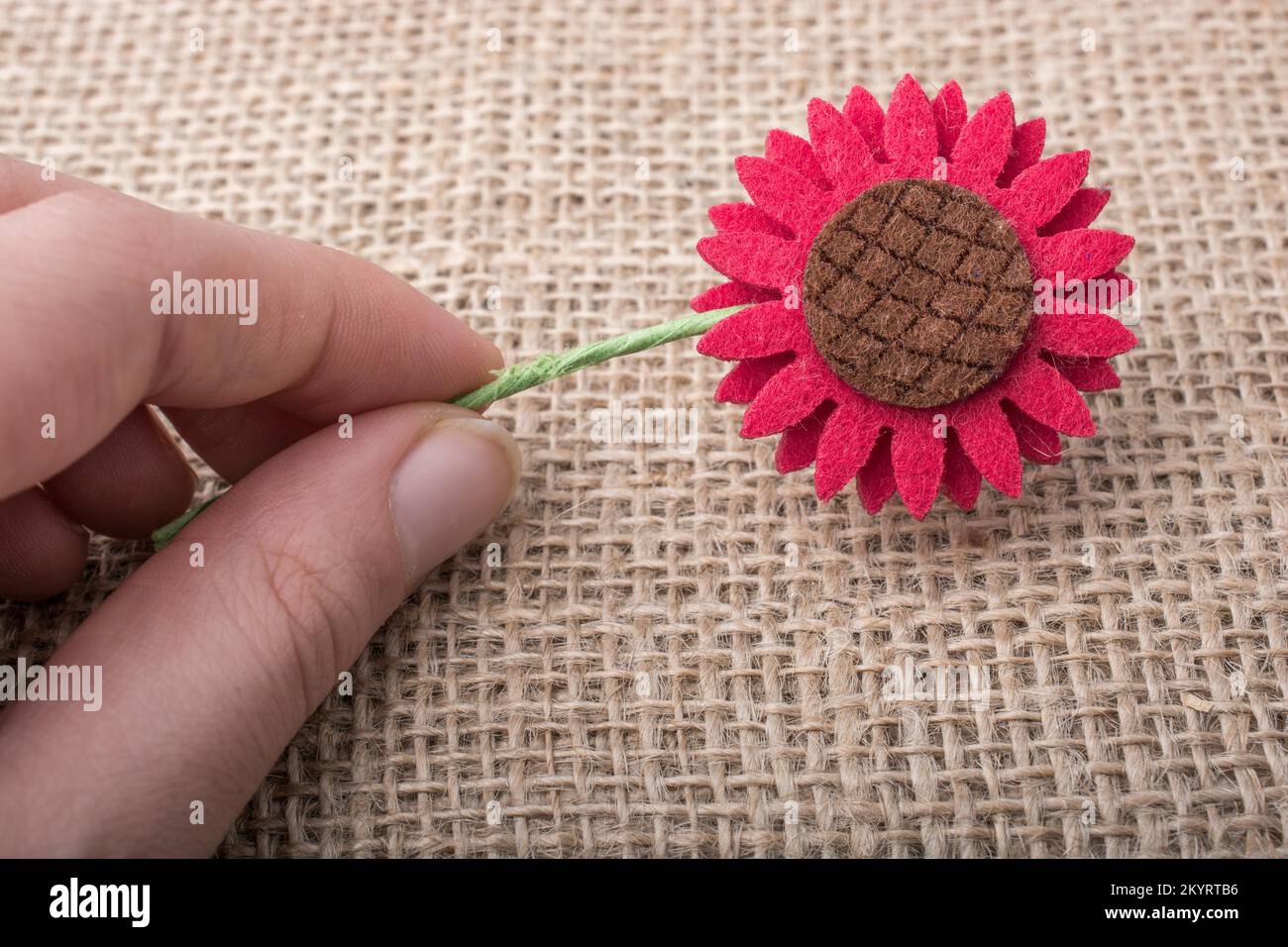 Fake child hi-res stock photography and images - Alamy