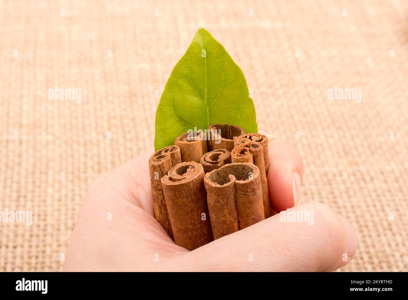 Bundle of cinnamon sticks on a linen canvas background Stock Photo - Alamy