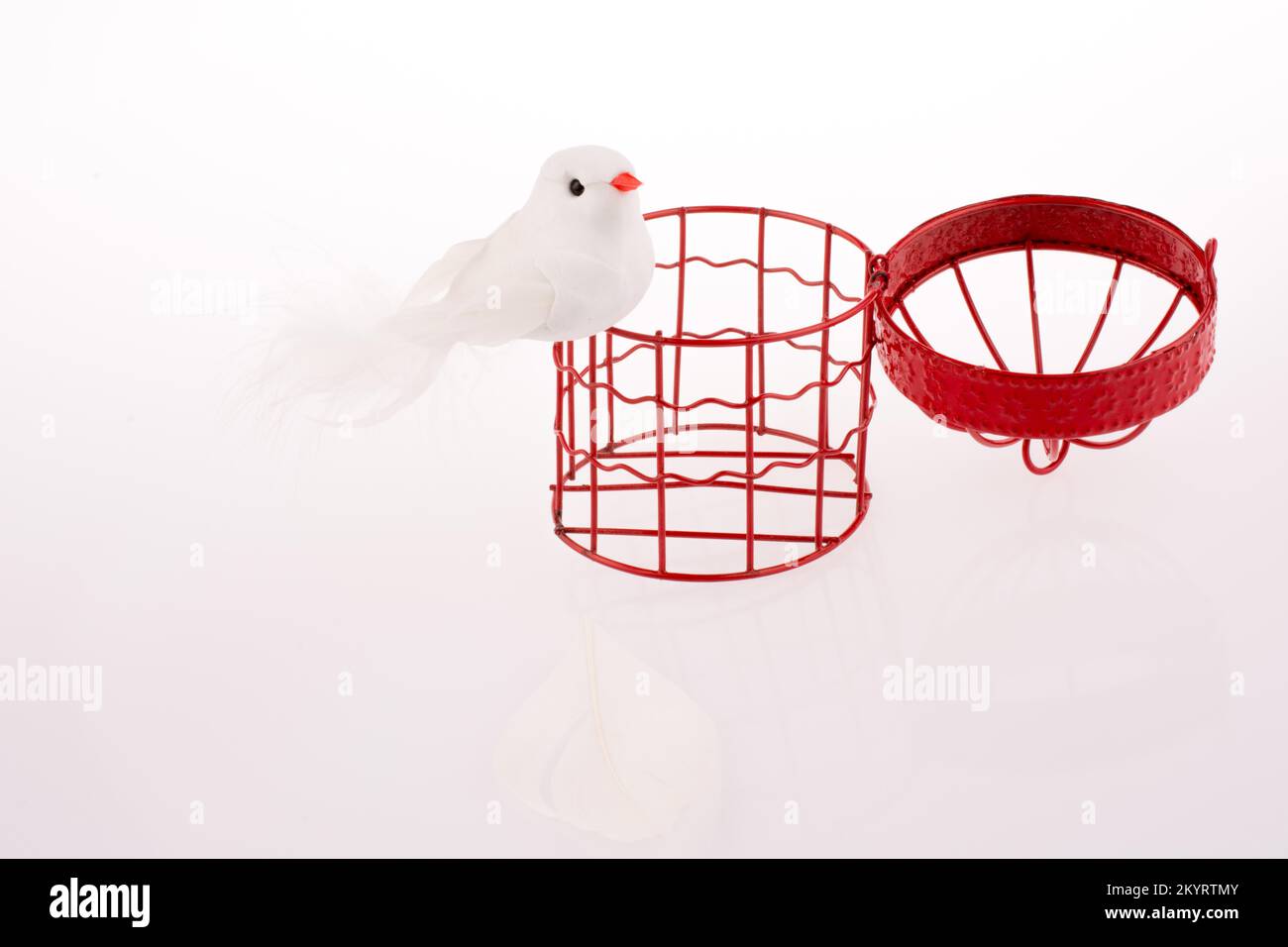 Bird near a red birdcage Stock Photo - Alamy