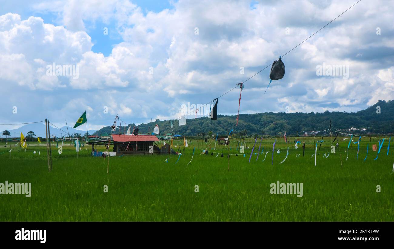 cabin in the middle of beautiful rice fields with cloudy skies Stock ...