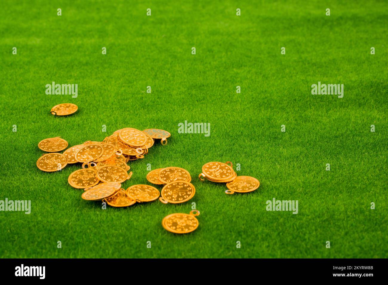 Gold coin grass hi-res stock photography and images - Alamy