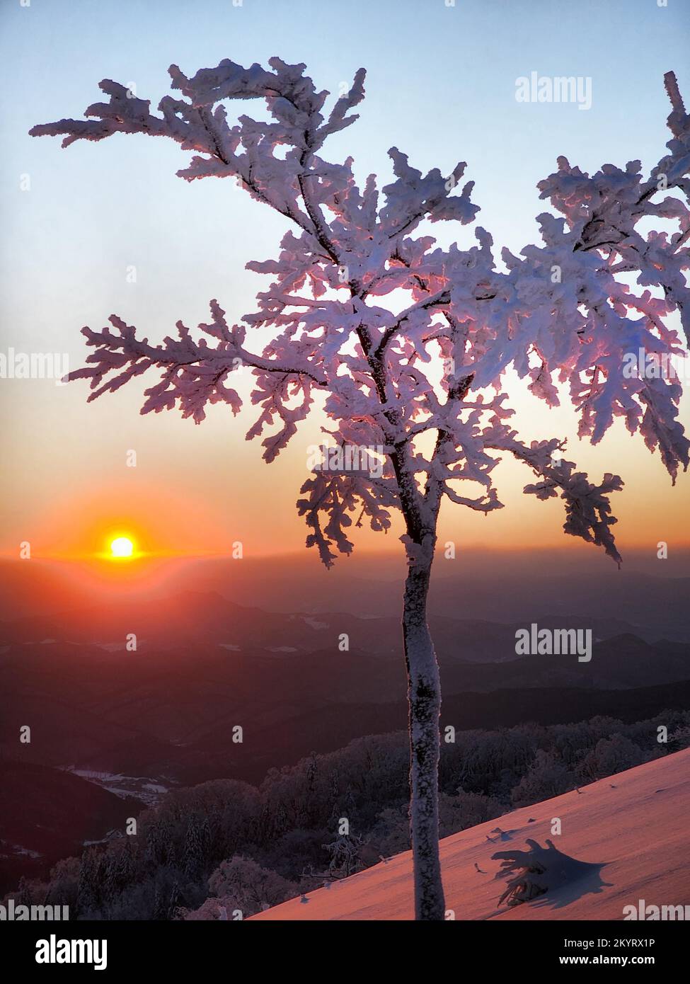 The beautiful rime ice scenery on Sifang Mountain, Hushang Village, Da ...