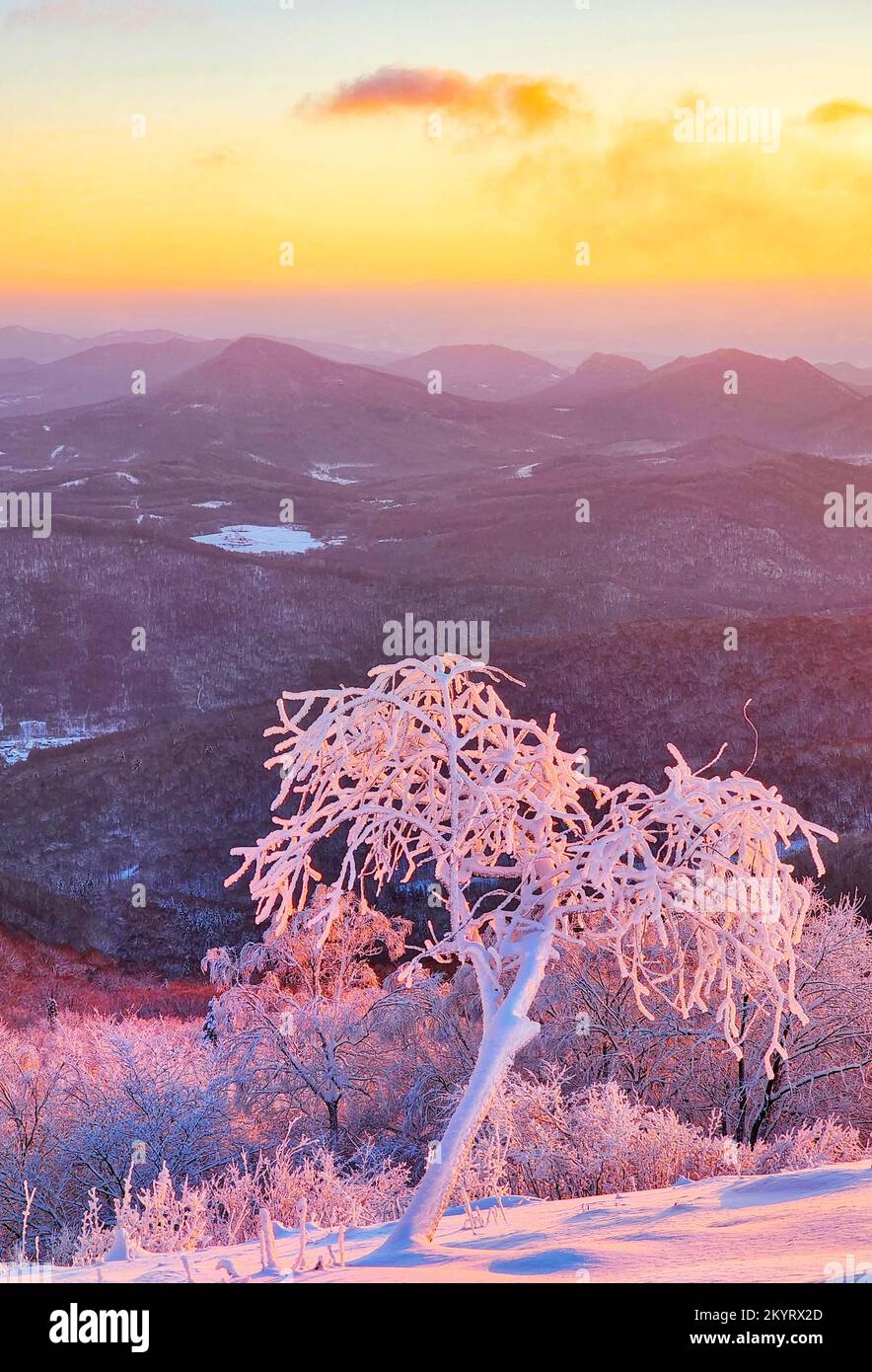 The beautiful rime ice scenery on Sifang Mountain, Hushang Village, Da ...