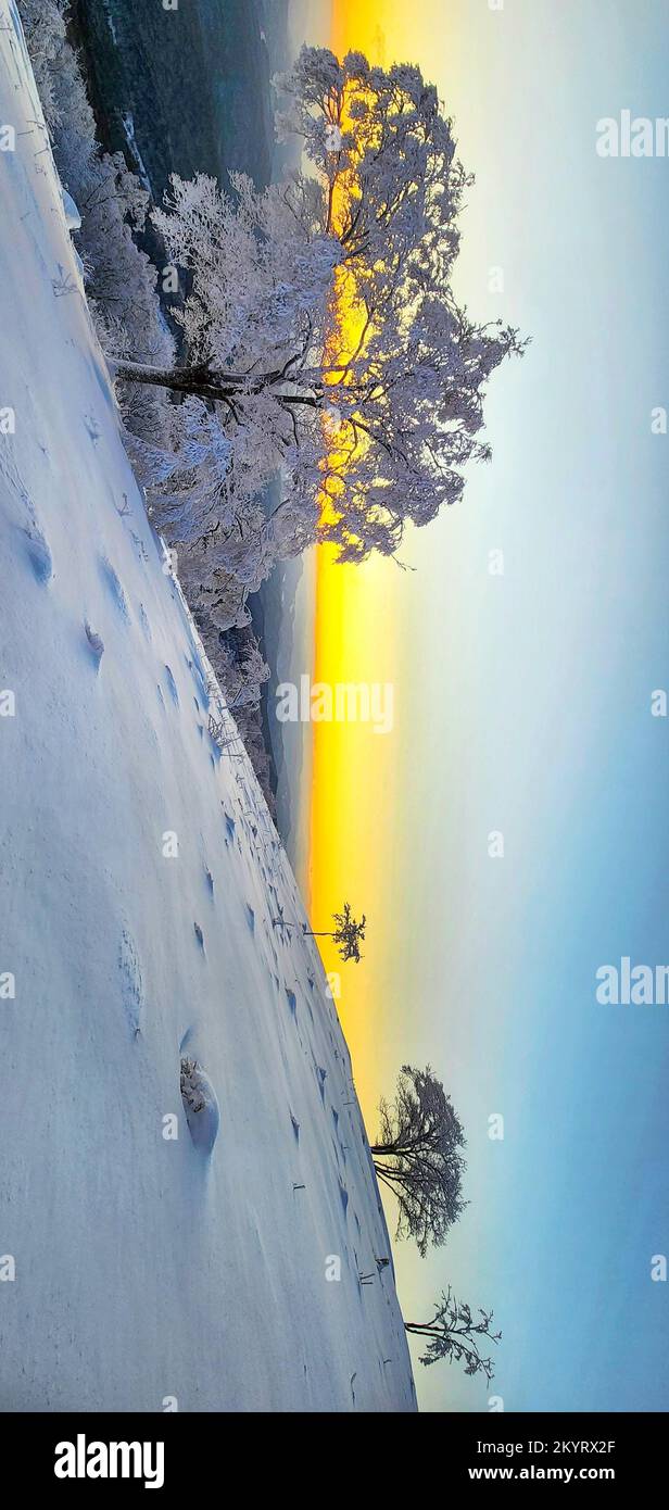 The beautiful rime ice scenery on Sifang Mountain, Hushang Village, Da ...