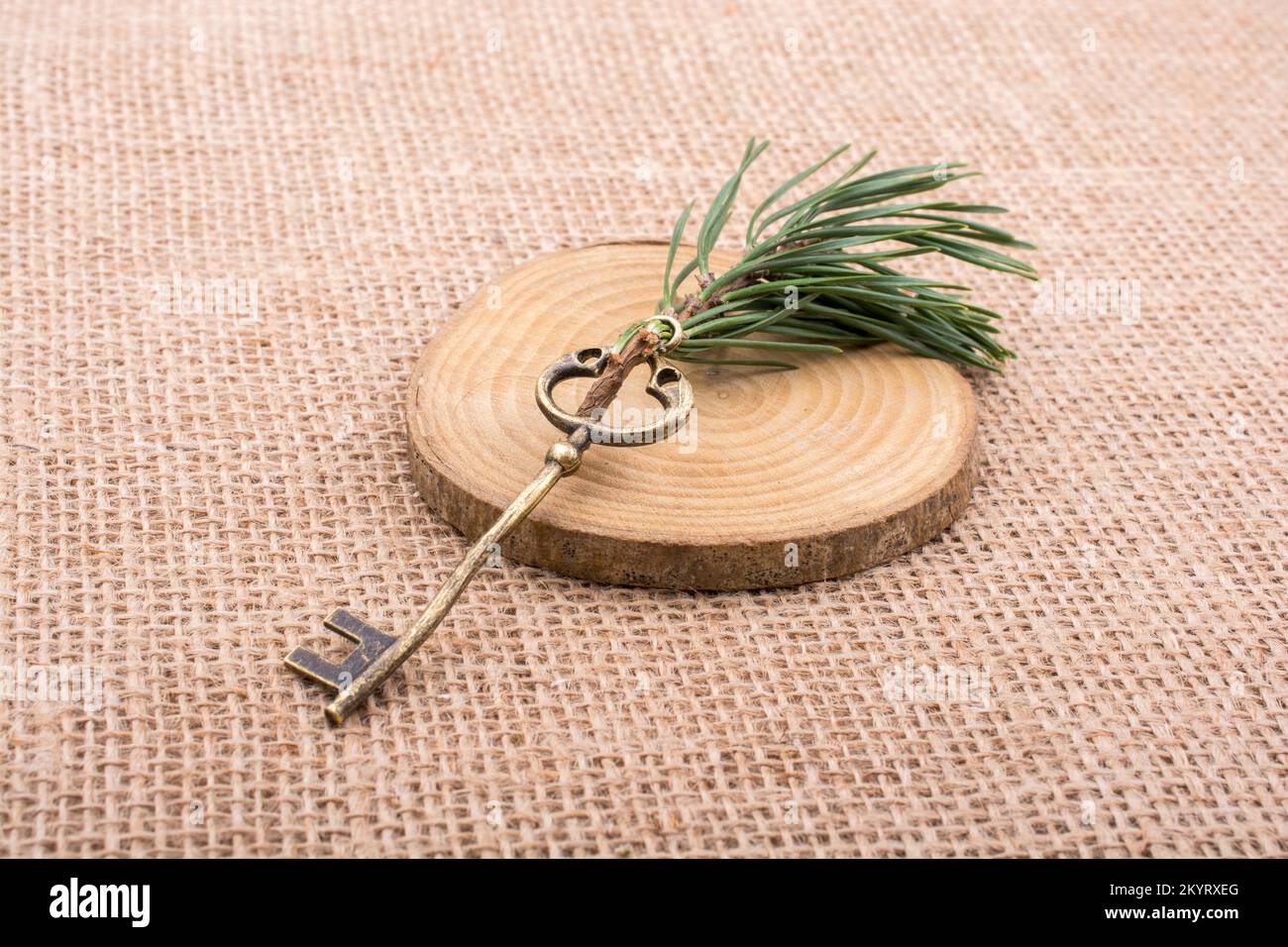 Green leaves key hi-res stock photography and images - Alamy
