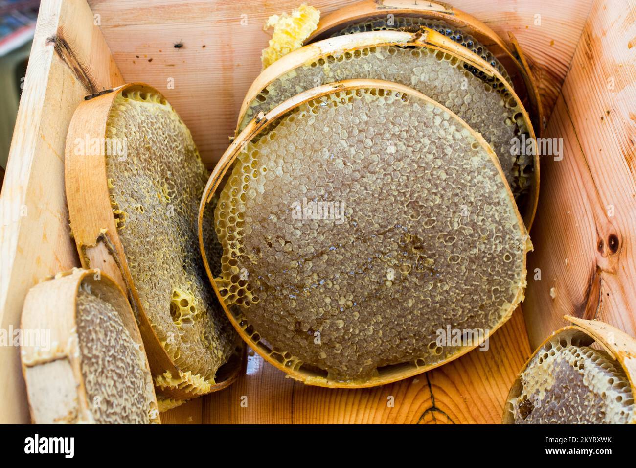 Sweet fresh honey in the sealed comb frame Stock Photo - Alamy