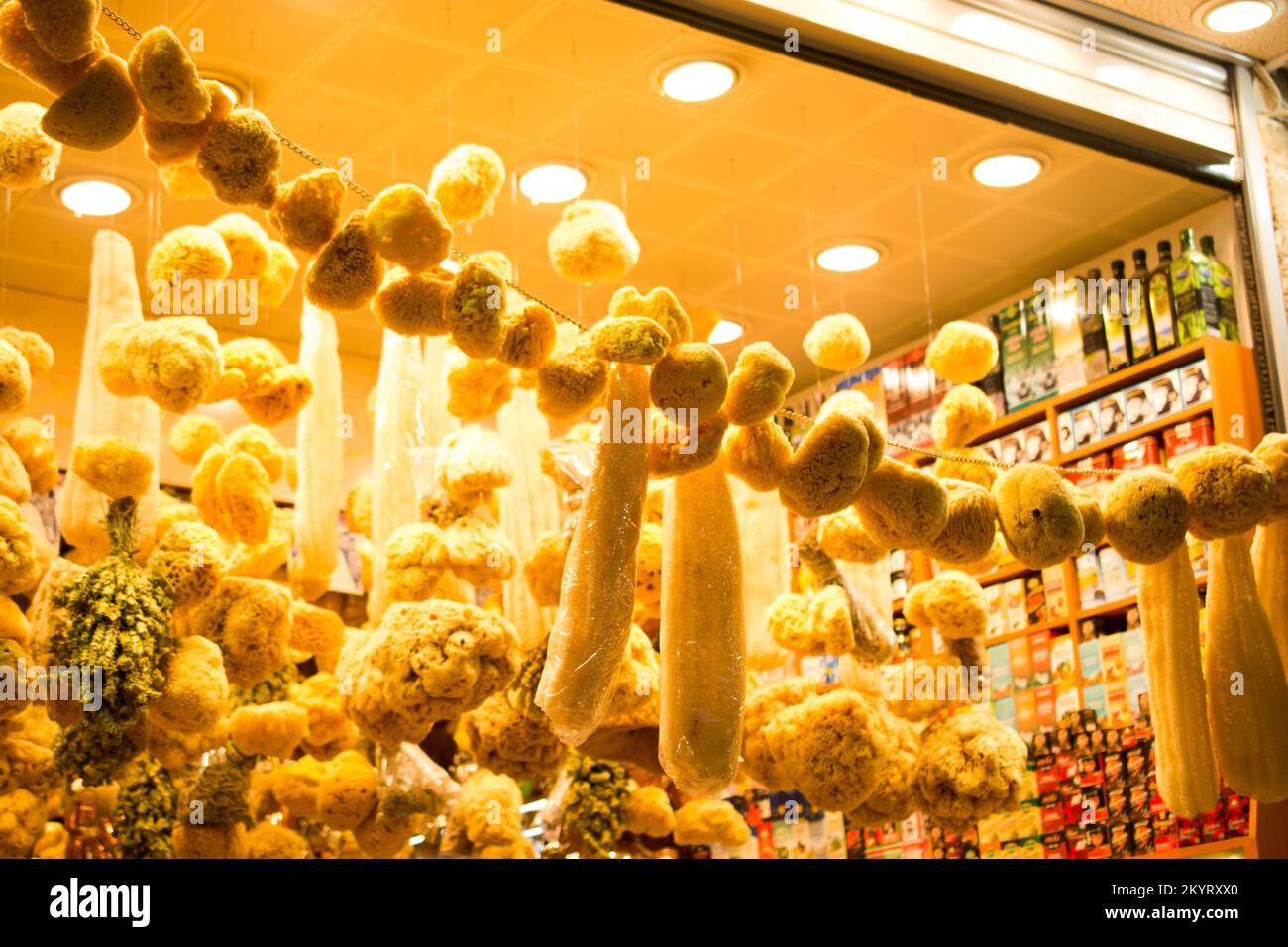 Collection of sea sponges hanging on a market stall Stock Photo - Alamy