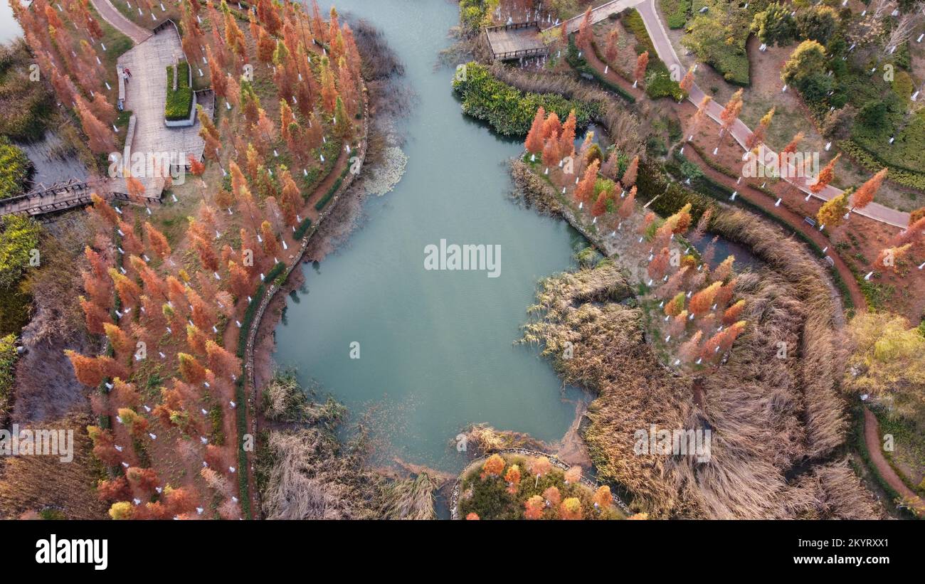 Aerial photo shows the winter scenery of Yuputan Park in Chenggong ...