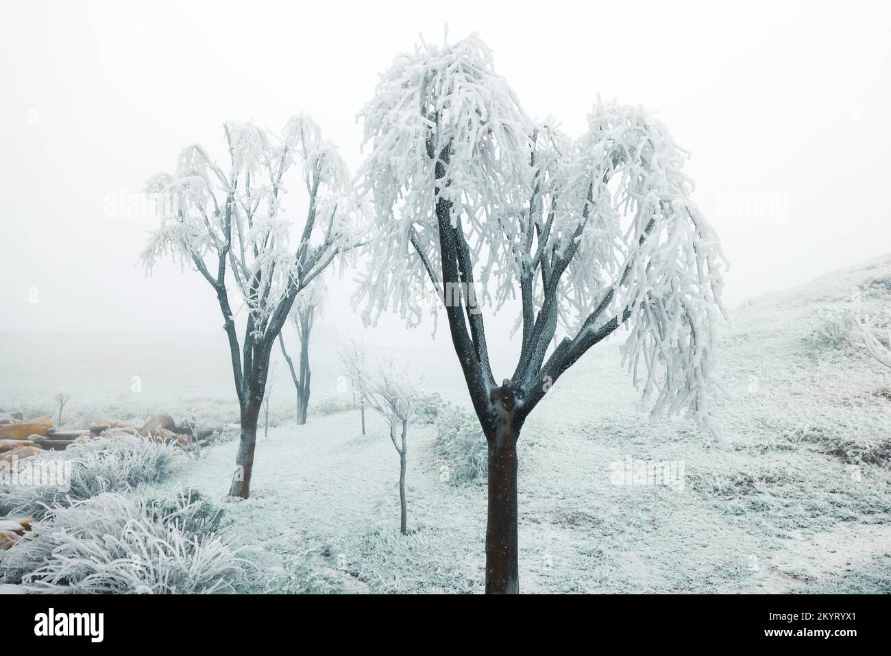 The snow scenery of Yangtianhu Scenic Area in Beihu District, Chenzhou ...