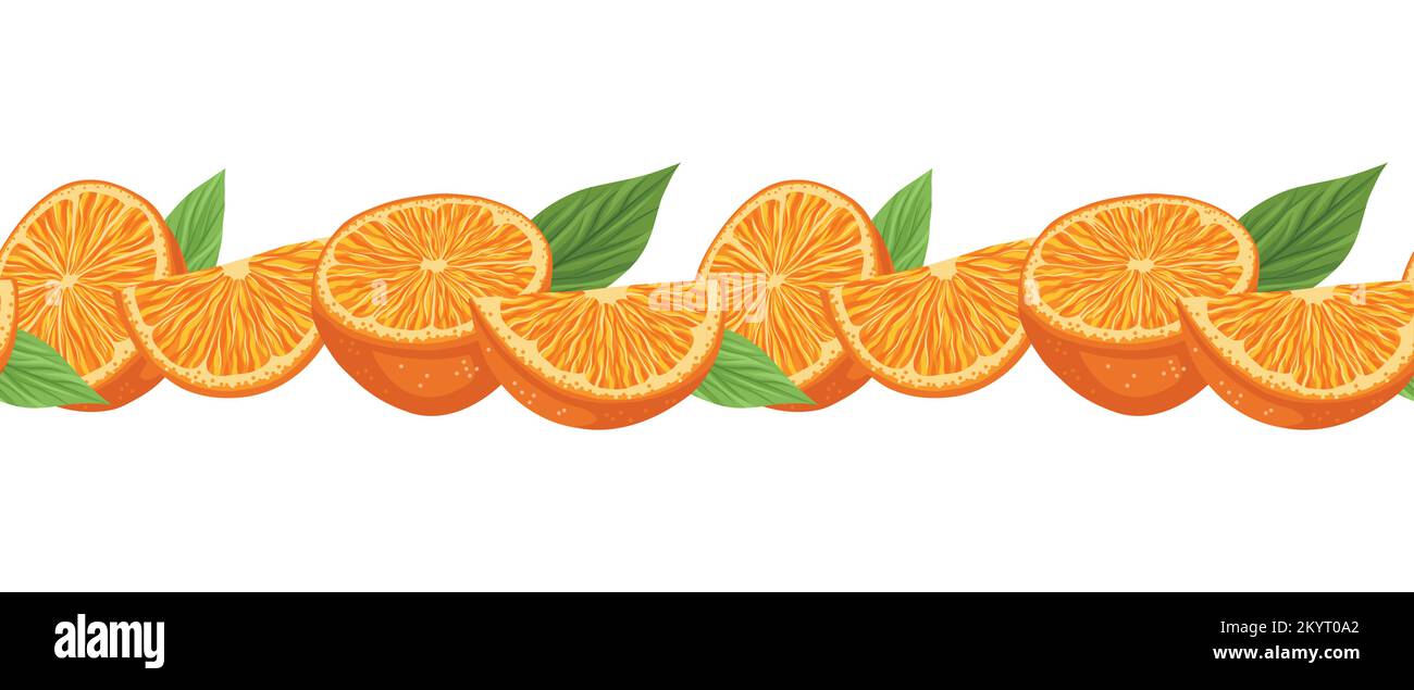 Vector seamless border with orange slices and leaves. Horizontal frieze ...