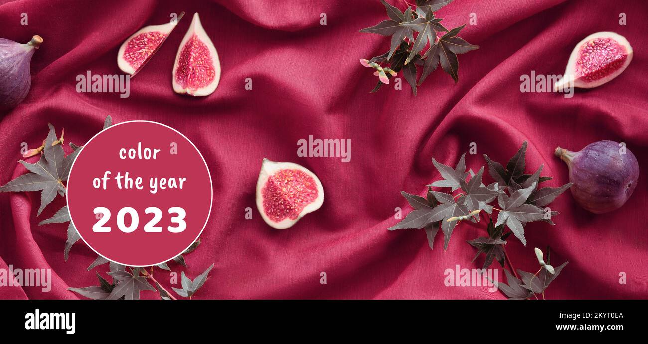 Fresh halved fig fruits and green maple leaves on raspberry red silk ...