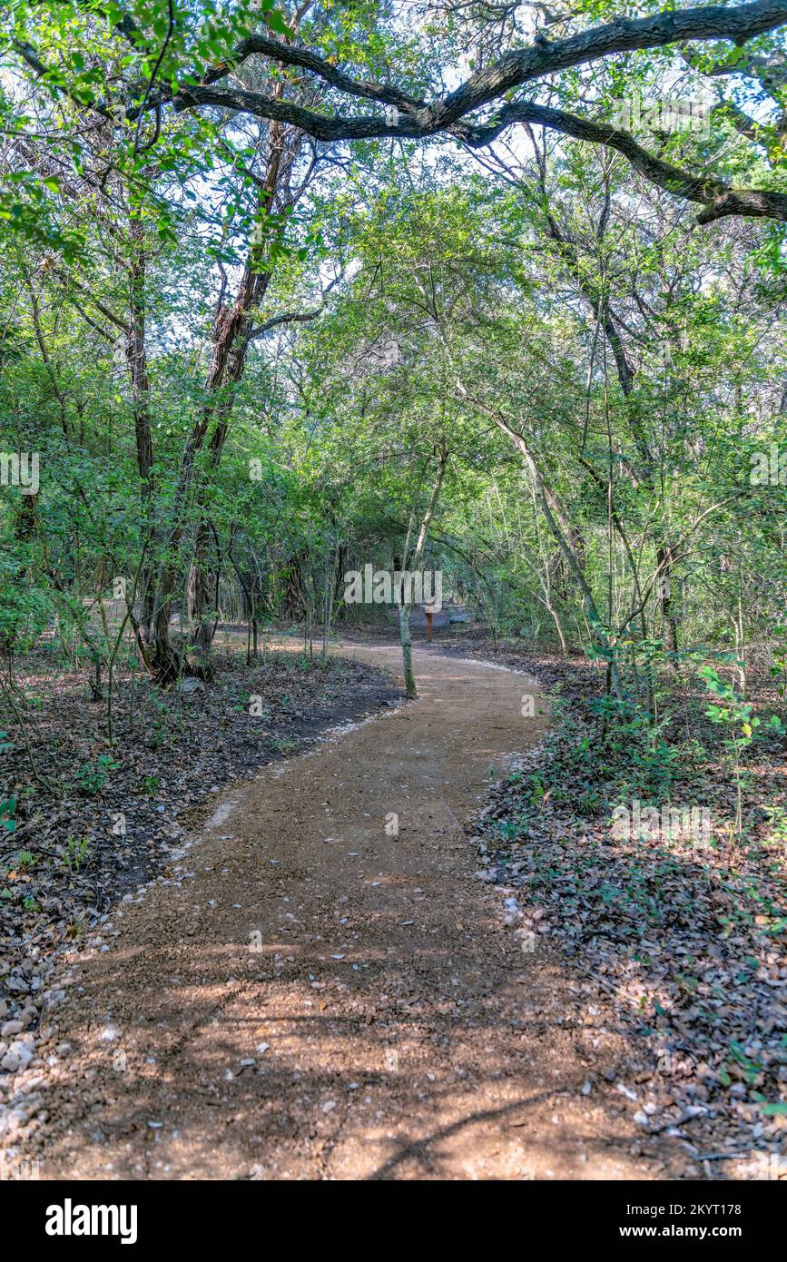 Narrow winding hiking trail road along trees in Bull Creek Austin Texas ...