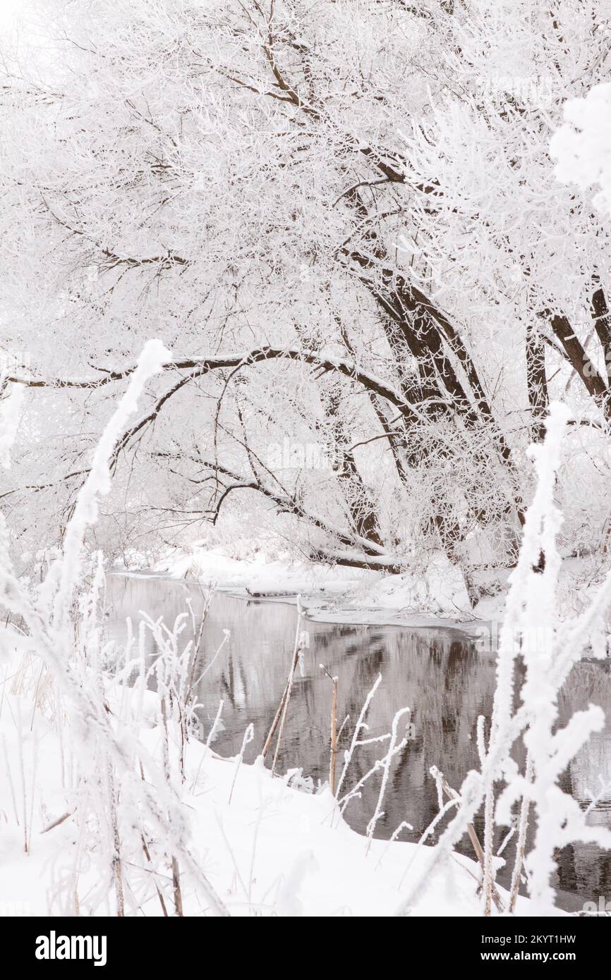 Snow-covered landscape of open spaces near the river. Snowy weather ...