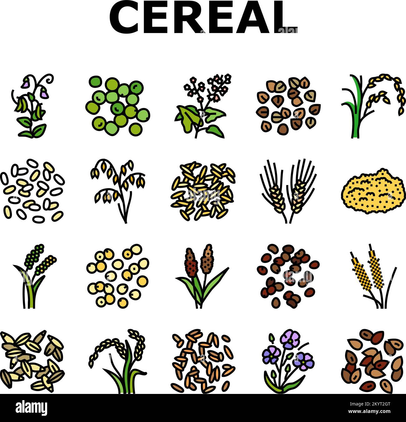 cereal plant healthy food icons set vector Stock Vector Image & Art - Alamy