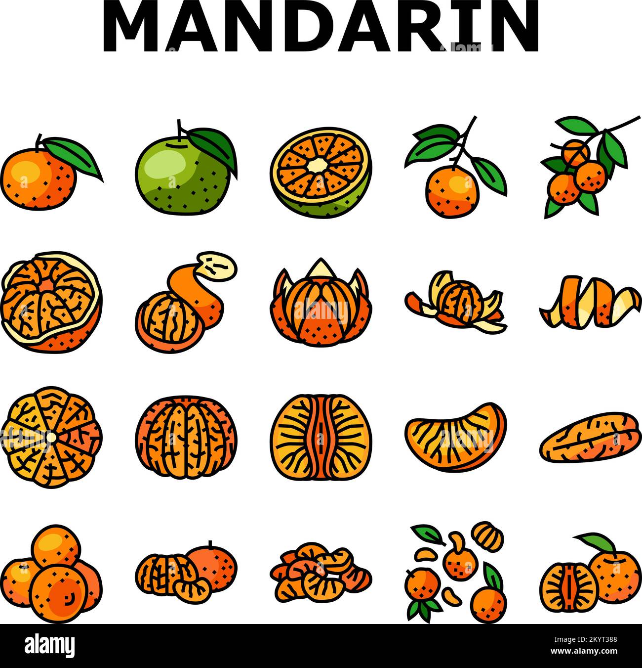 mandarin clementine orange fruit icons set vector Stock Vector Image ...