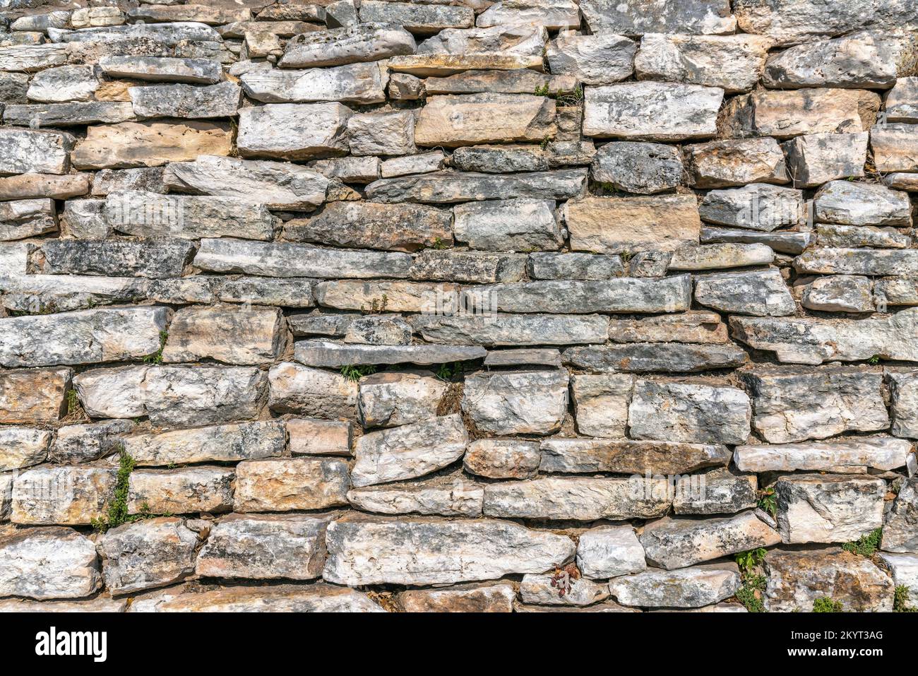 Old brick wall with small green plants growing in between the irregular ...