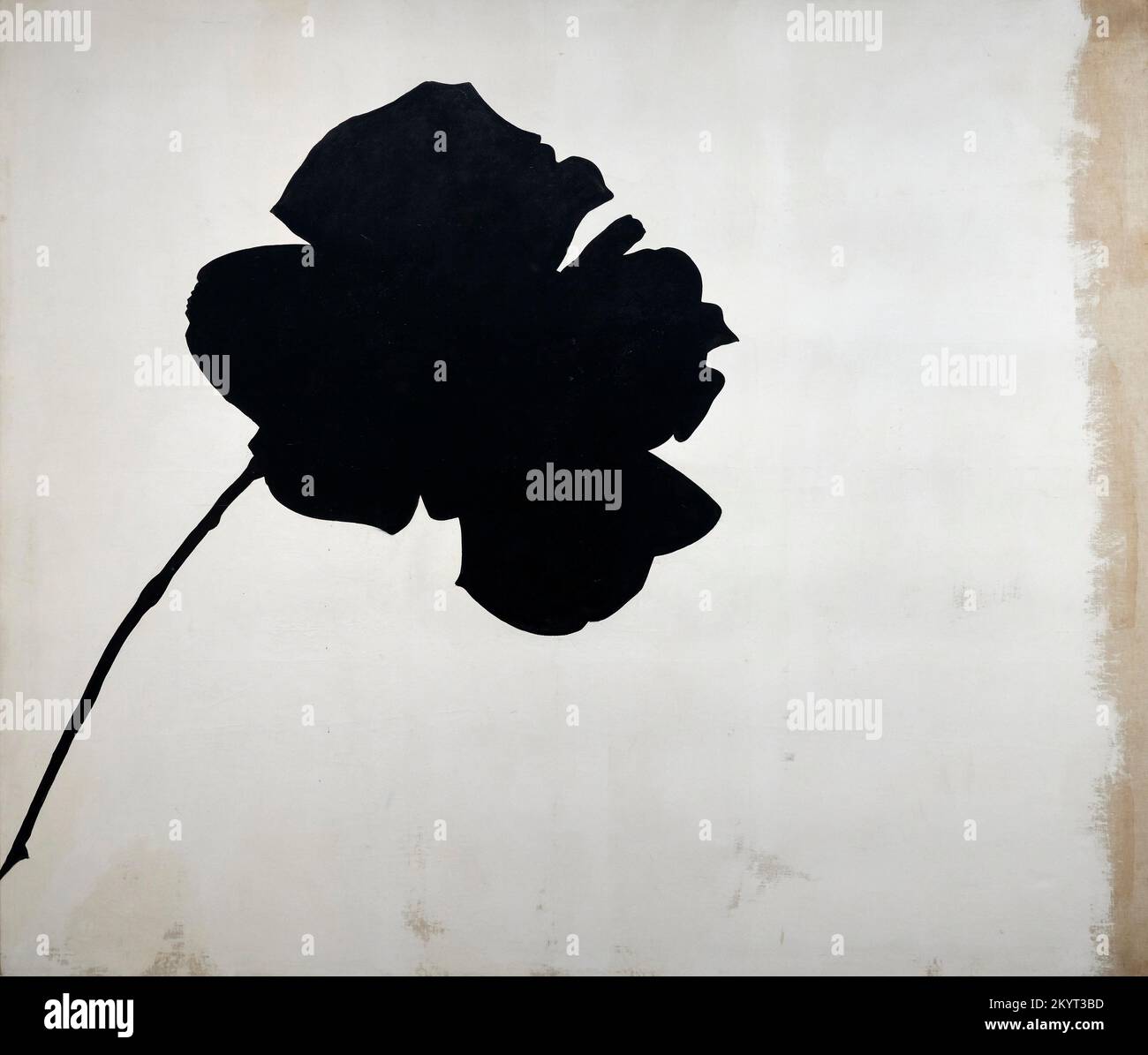 Senza titolo ( Rosa nera ) - smalto su tela - UJannis Kounellis - 1966 ...