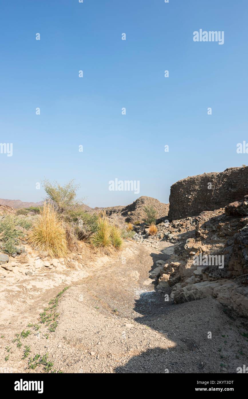 Dry riverbed in the Hajar Mountains of the United Arab Emirates with ...