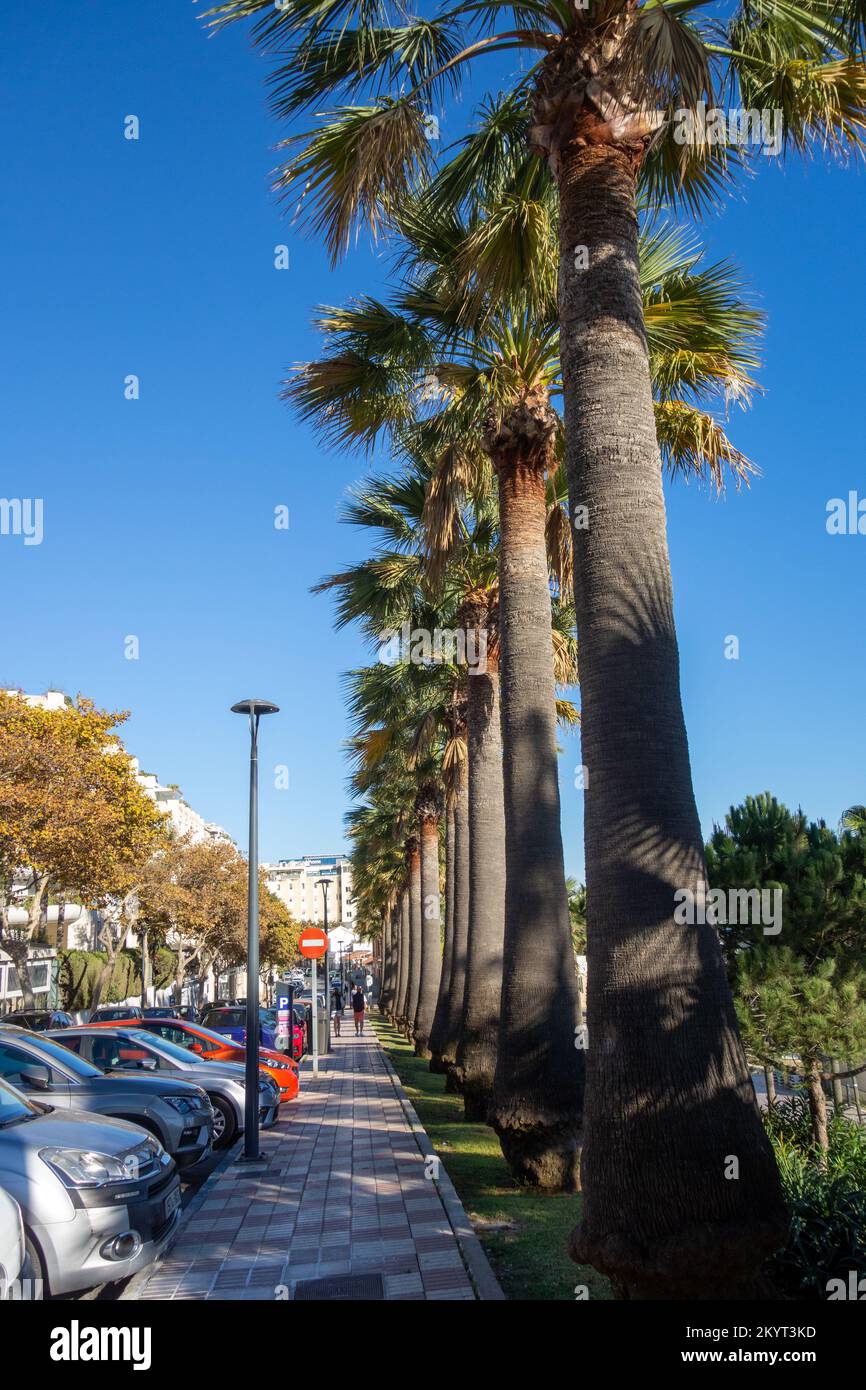 Marbella spain bridge hi-res stock photography and images - Alamy