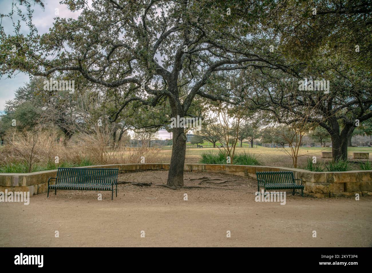 Metal benches at a scenic park with lush trees landscape in Austin ...