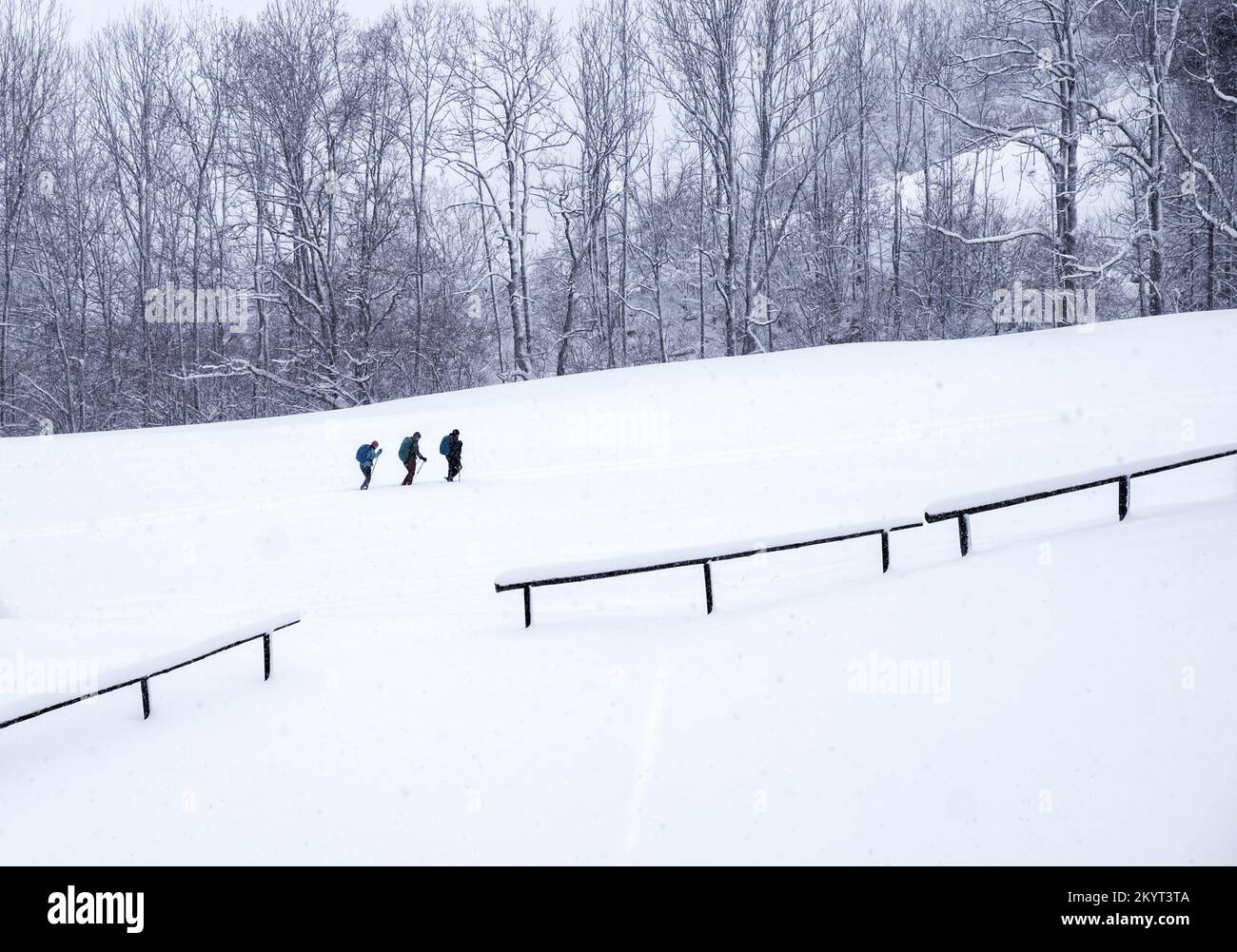 winter snow landscape Stock Photo - Alamy