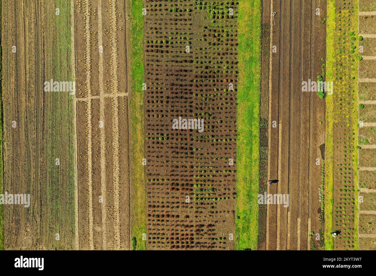 Empty plot of land hi-res stock photography and images - Alamy
