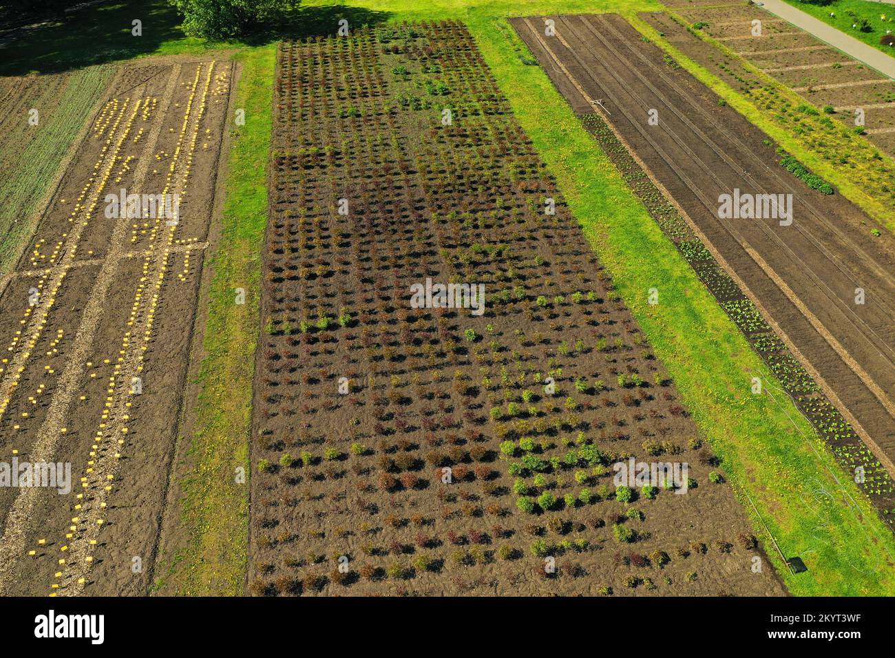 empty raised garden beds in the spring perid Stock Photo - Alamy