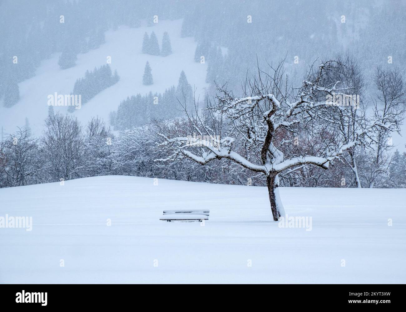 winter snow landscape Stock Photo - Alamy