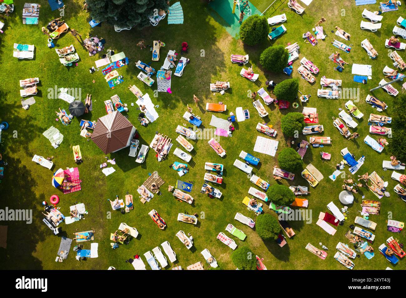 Top view of the summer recreation area for people with sun beds outside ...