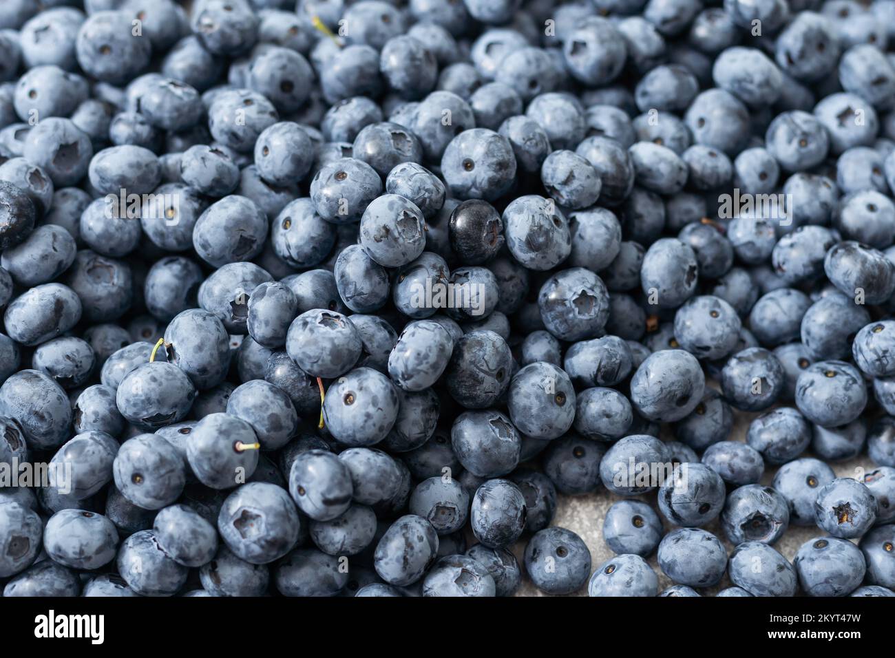 Fresh large blueberry. Close-up background Stock Photo - Alamy