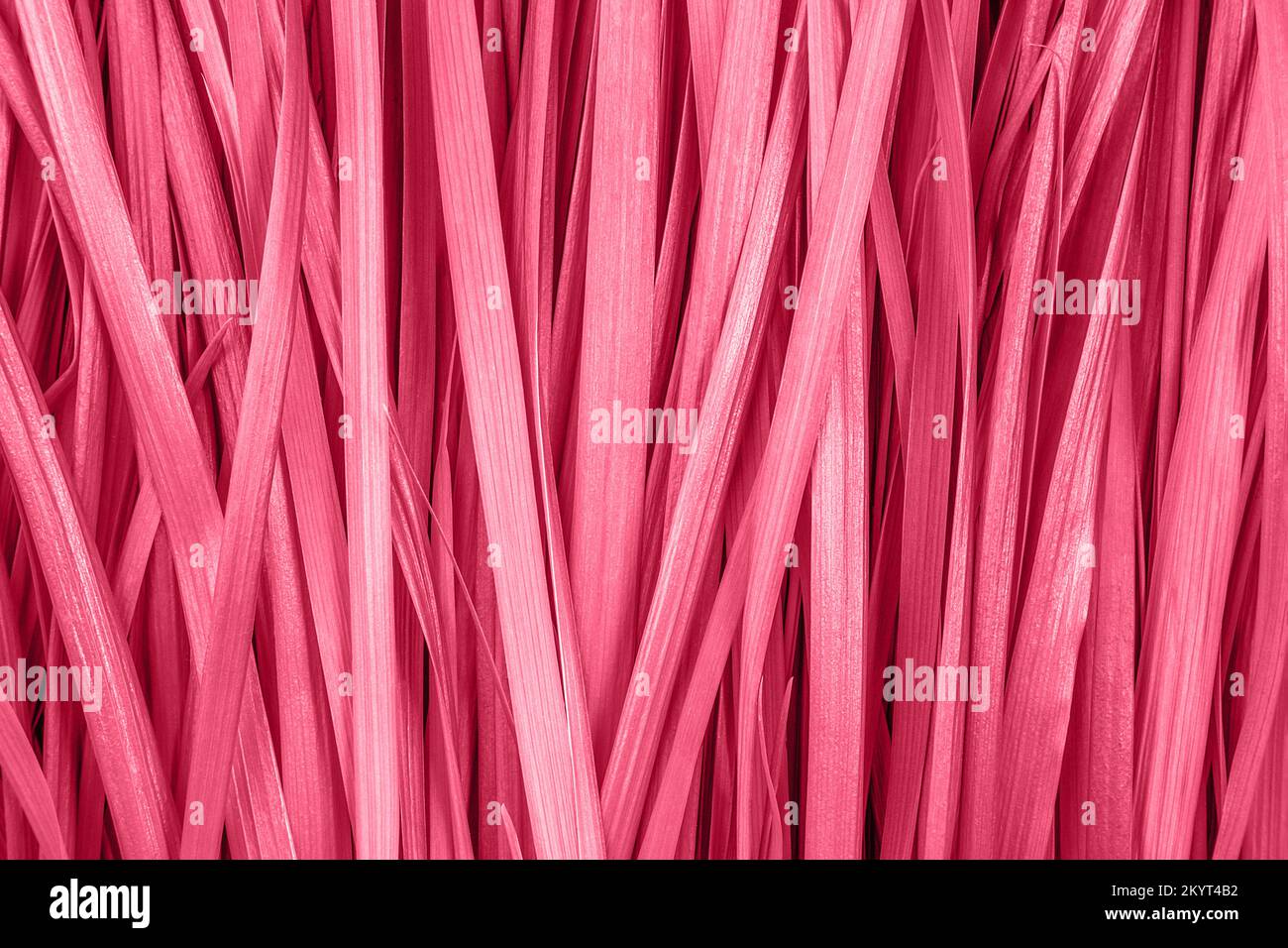 2023 abstract hi-res stock photography and images - Alamy