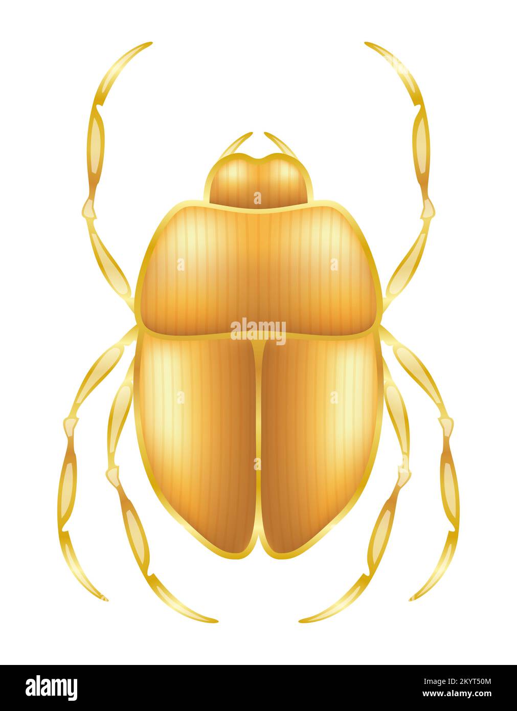 scarab symbol of ancient egypt vector illustration isolated on white ...