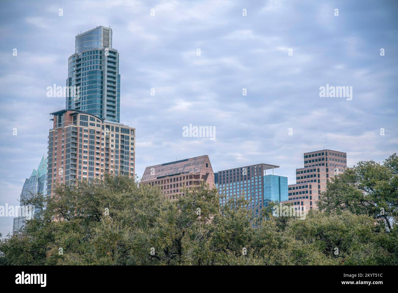 Modern glass buildings behind thick lush green foliage in Austin Texas ...