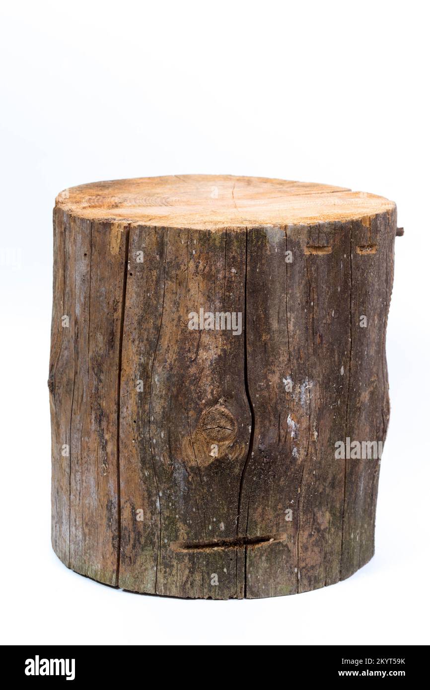 Dead wooden stump Cut Out Stock Images & Pictures - Alamy