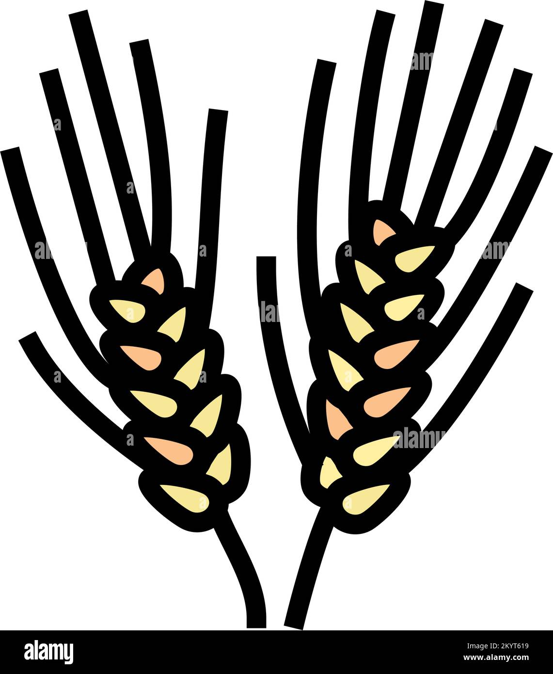 Semolina plant healthy line Stock Vector Images - Alamy