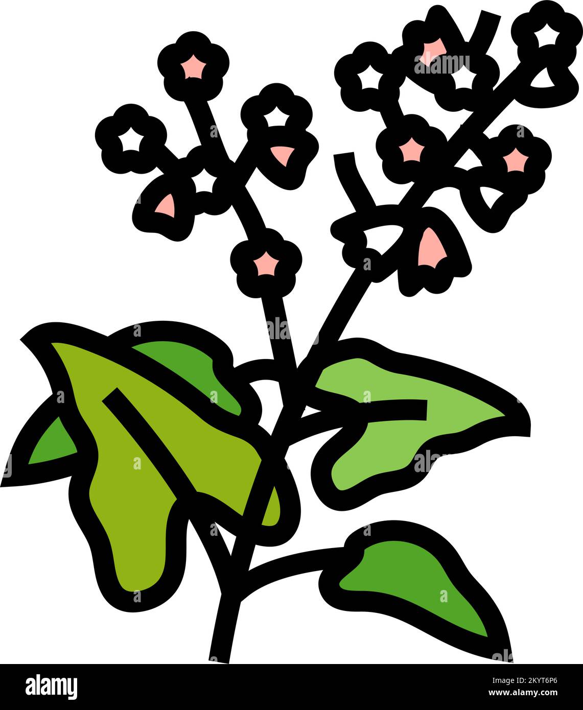 buckwheat plant healthy color icon vector illustration Stock Vector ...