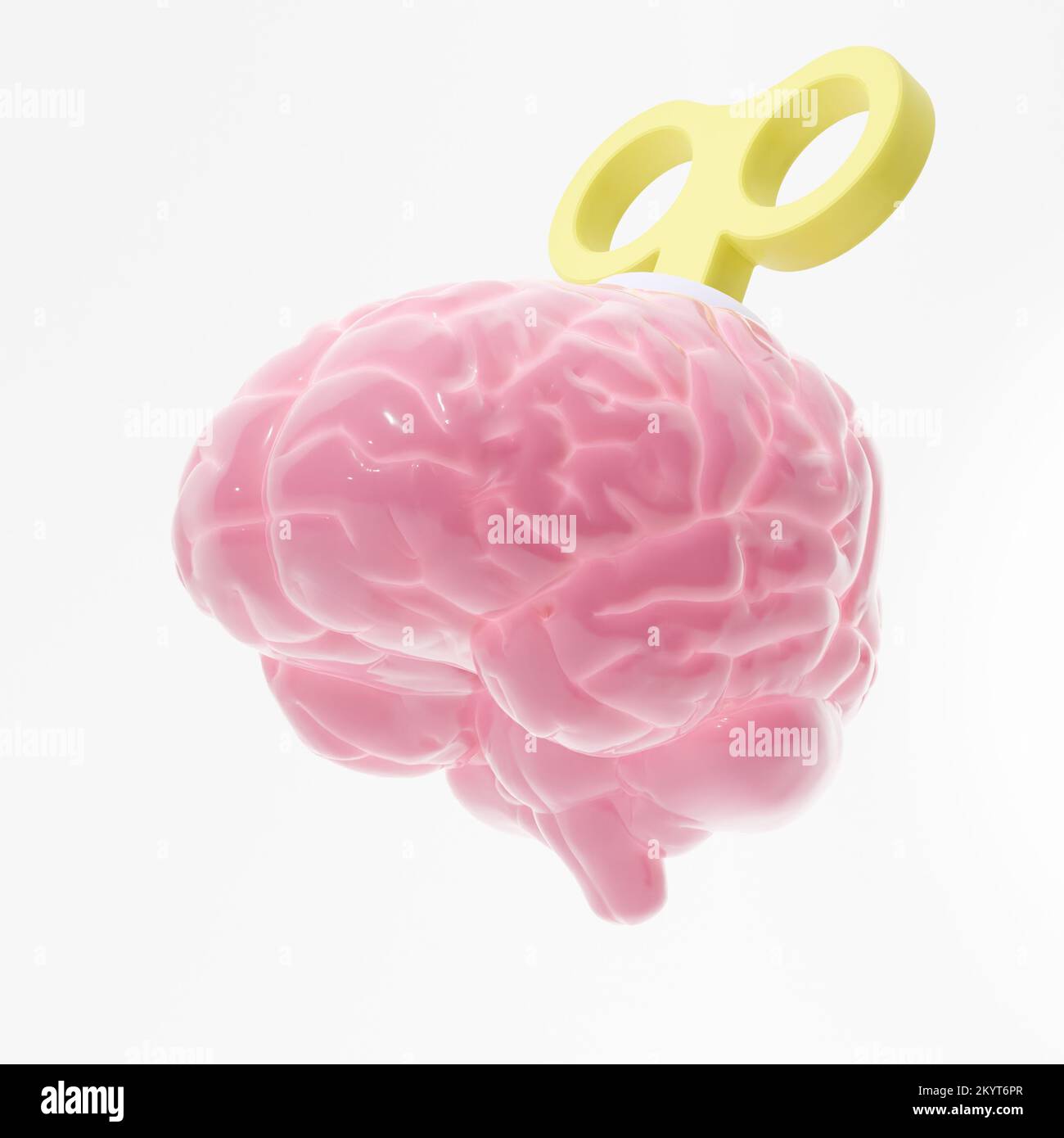 3D Rendering of a Toy Brain with a Winding Mechanism Stock Photo - Alamy